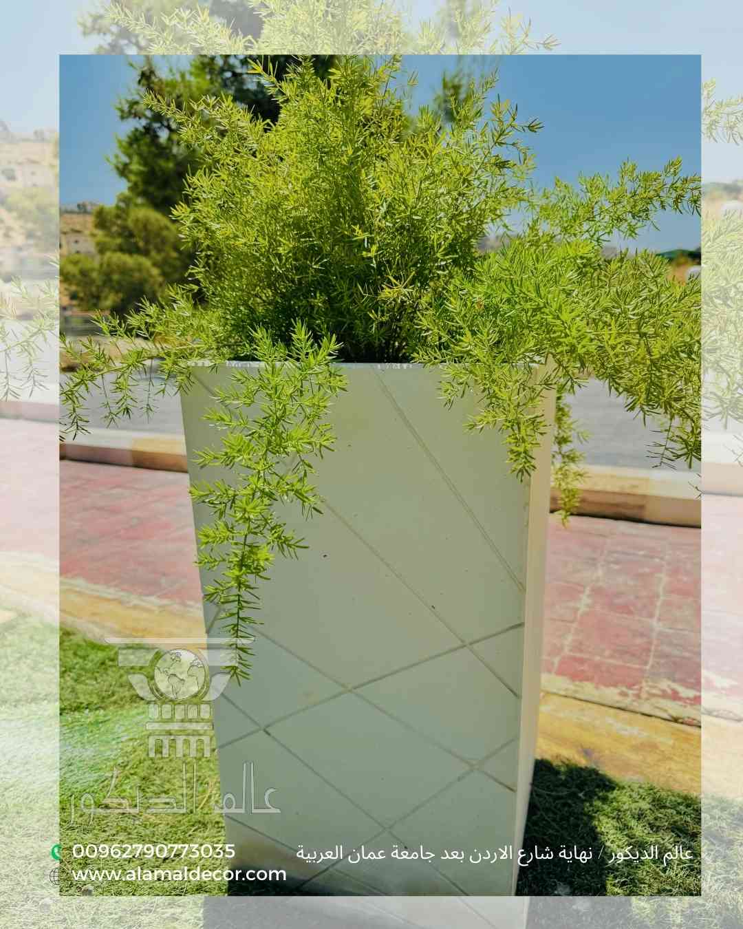 عالم الديكور » q121 حوض زريعة