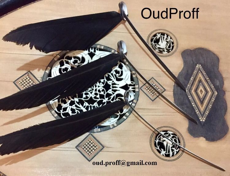 OudProf عود-بروف » ريشة النسر الأفريقي الأسود