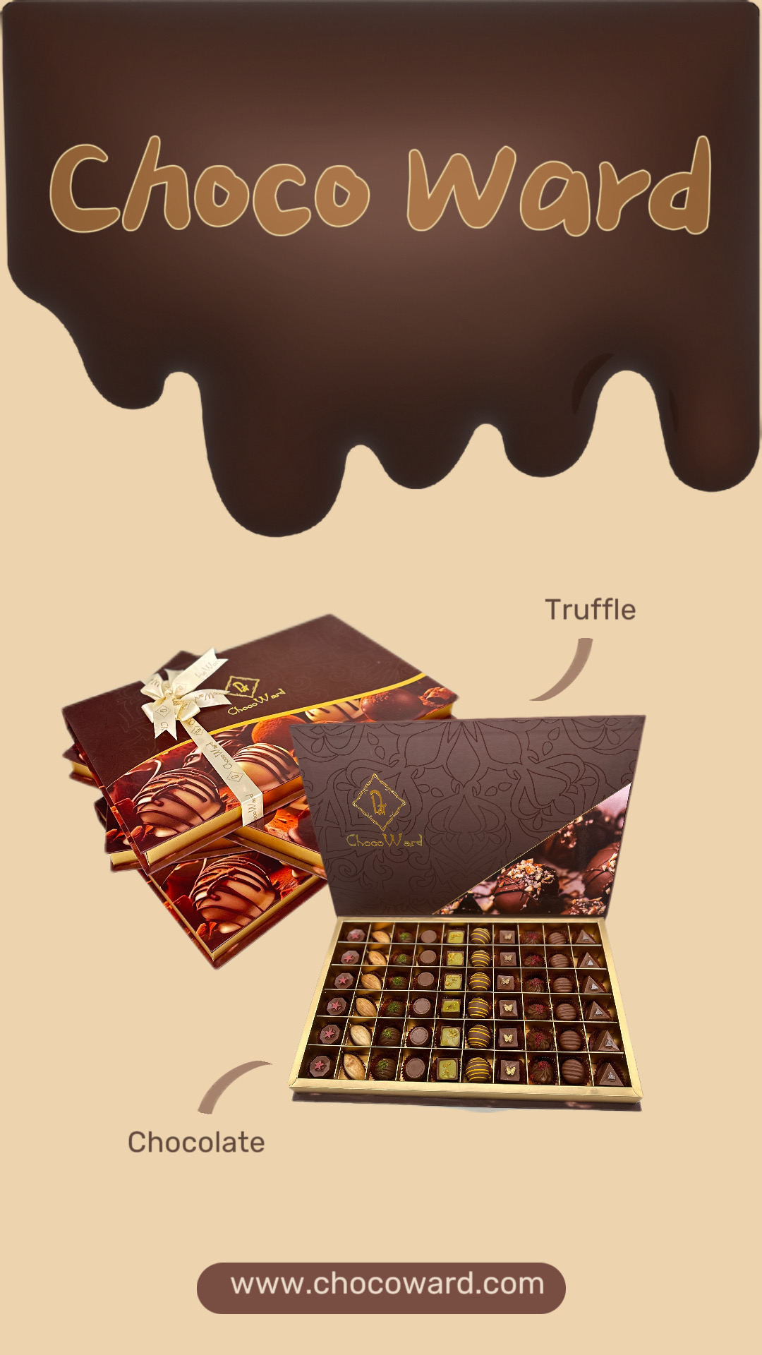 Choco Ward » Chocolets Box B 60 Pcs