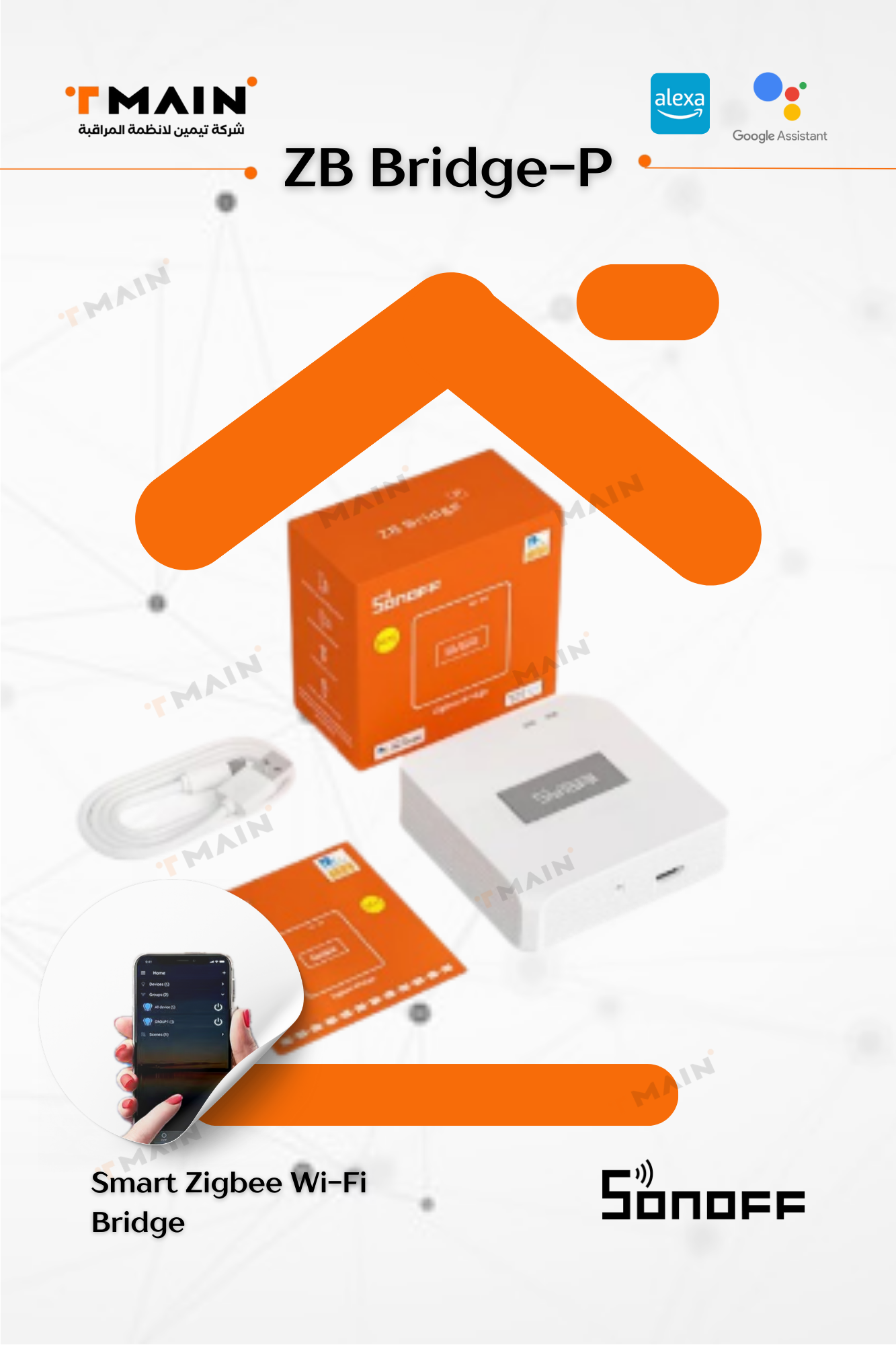 TMAIN Security Systems » ZB Bridge-P Connect 128 Zigbee Devices