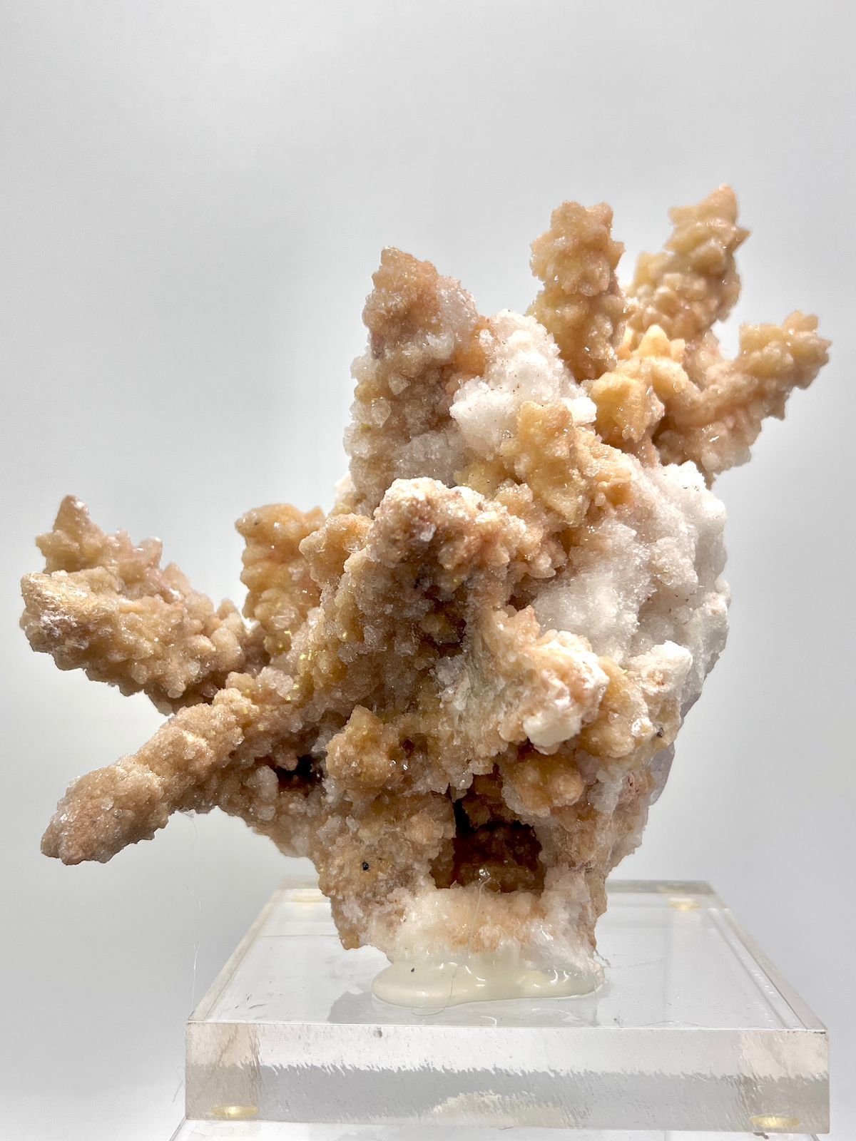 House of Fossils and Gems » Aragonite