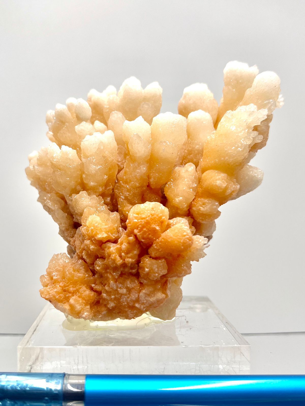 House of Fossils and Gems » Aragonite